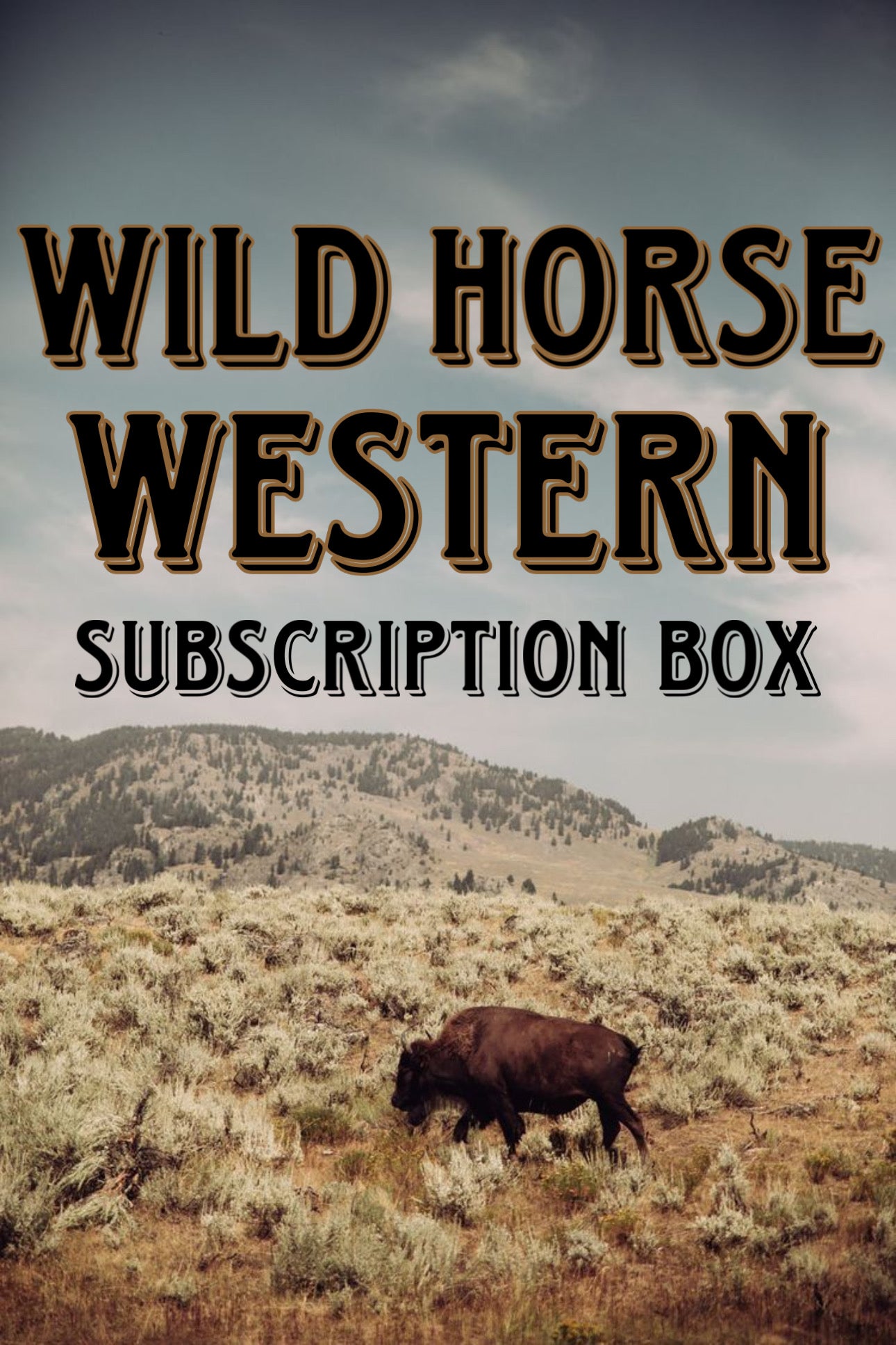 Wild Horse Subscription Box – Wild Horse Western